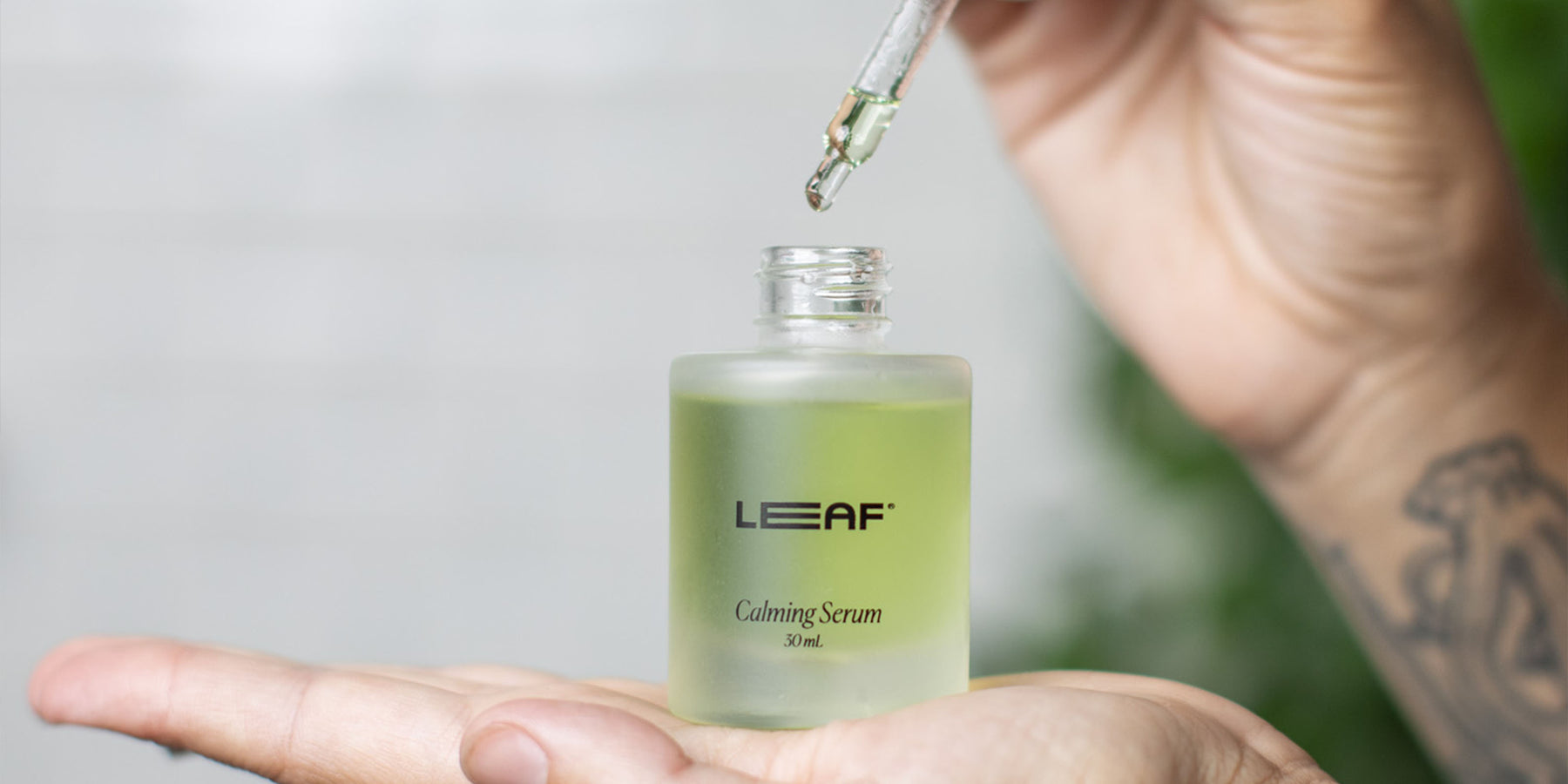 Leaf Shave Official | Plastic Free Shaving Made Easy