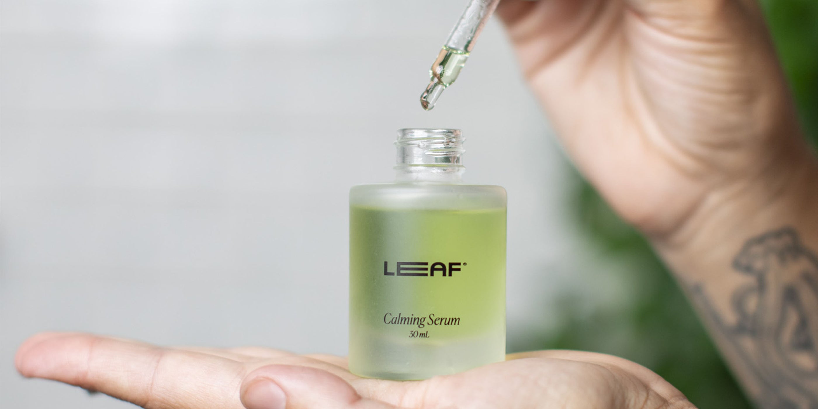 Leaf Shave Official | Plastic Free Shaving Made Easy