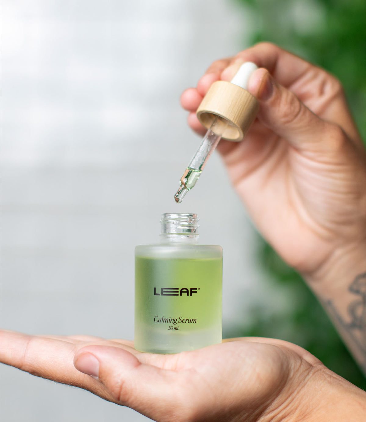 Leaf Shave Official | Plastic Free Shaving Made Easy