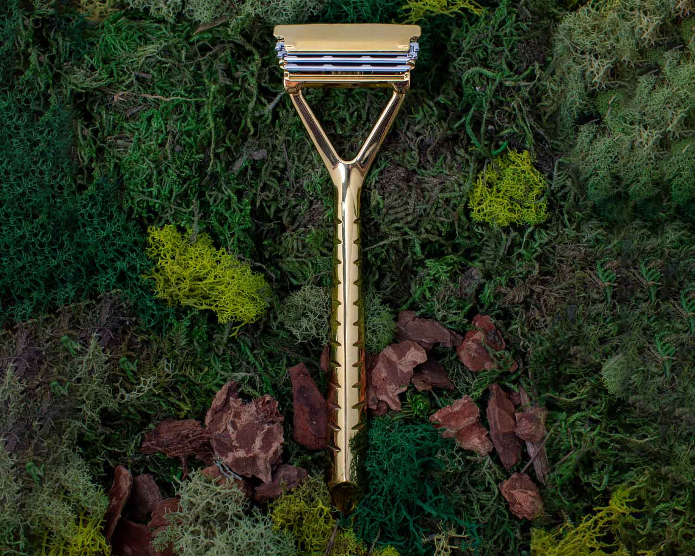 Leaf Shave Official | Plastic Free Shaving Made Easy